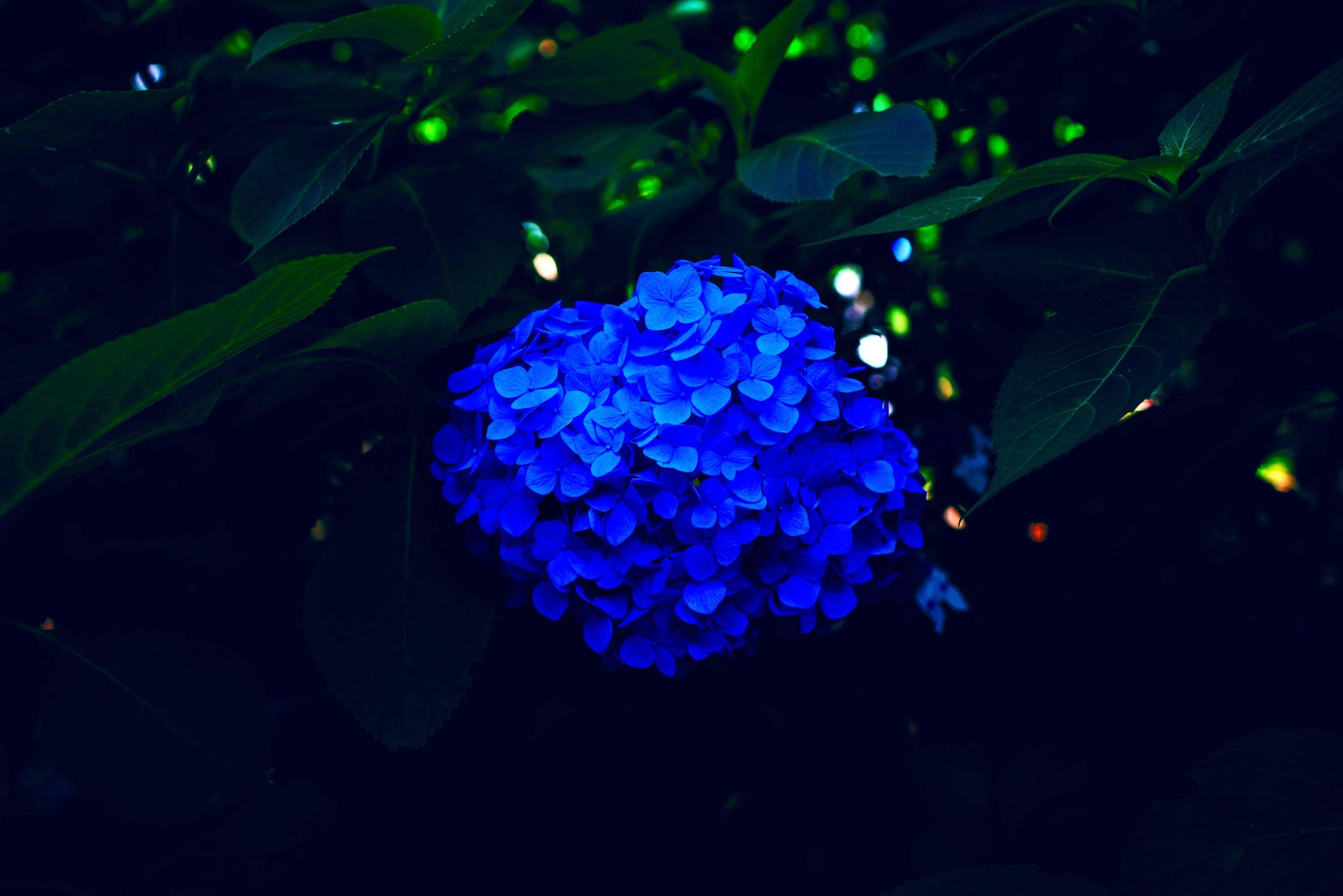 Reframing A Machine Learning Problem